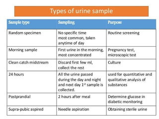 lecture 02. urine examination analysis.ppt