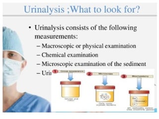 lecture 02. urine examination analysis.ppt