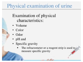 lecture 02. urine examination analysis.ppt