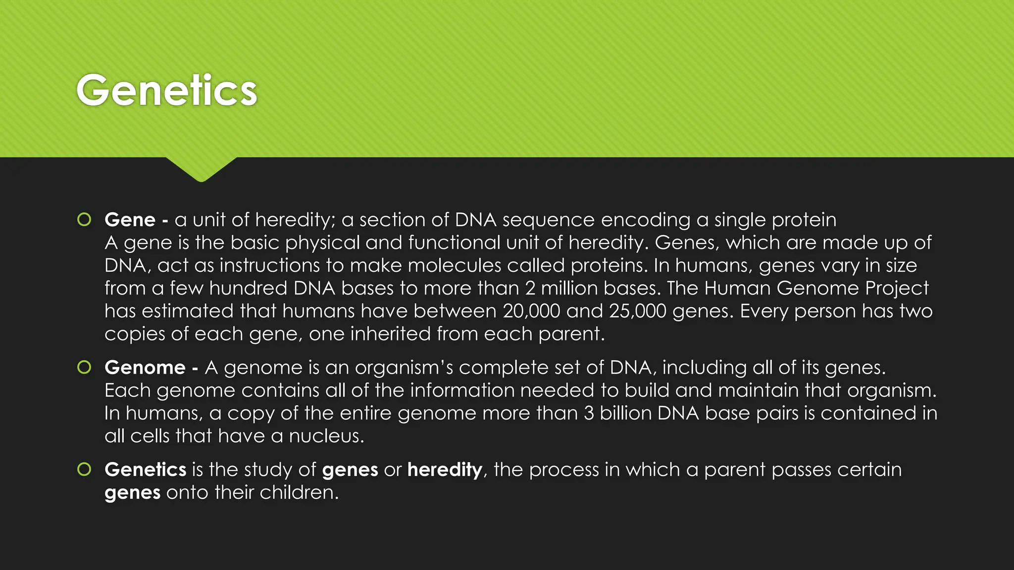 Bioinformatics Cell cycles with More Genetic Terms | PDF