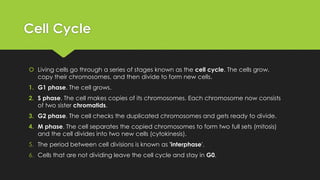Bioinformatics Cell cycles with More Genetic Terms | PDF