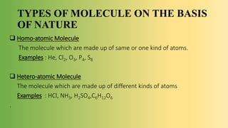 MOLECULE | PDF
