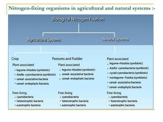 Lecture 02 RKT(BNF) | PPT