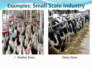 Introduction to Industrialization | PPTX