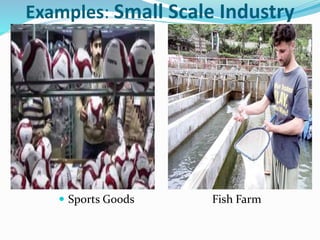 Introduction to Industrialization | PPTX