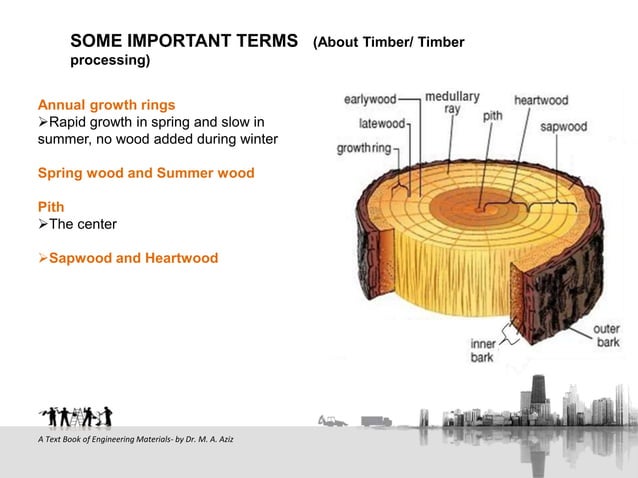 Timber as Building material | PPTX