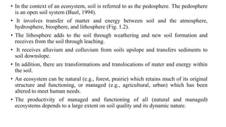Importance of Soil Physics | PPTX