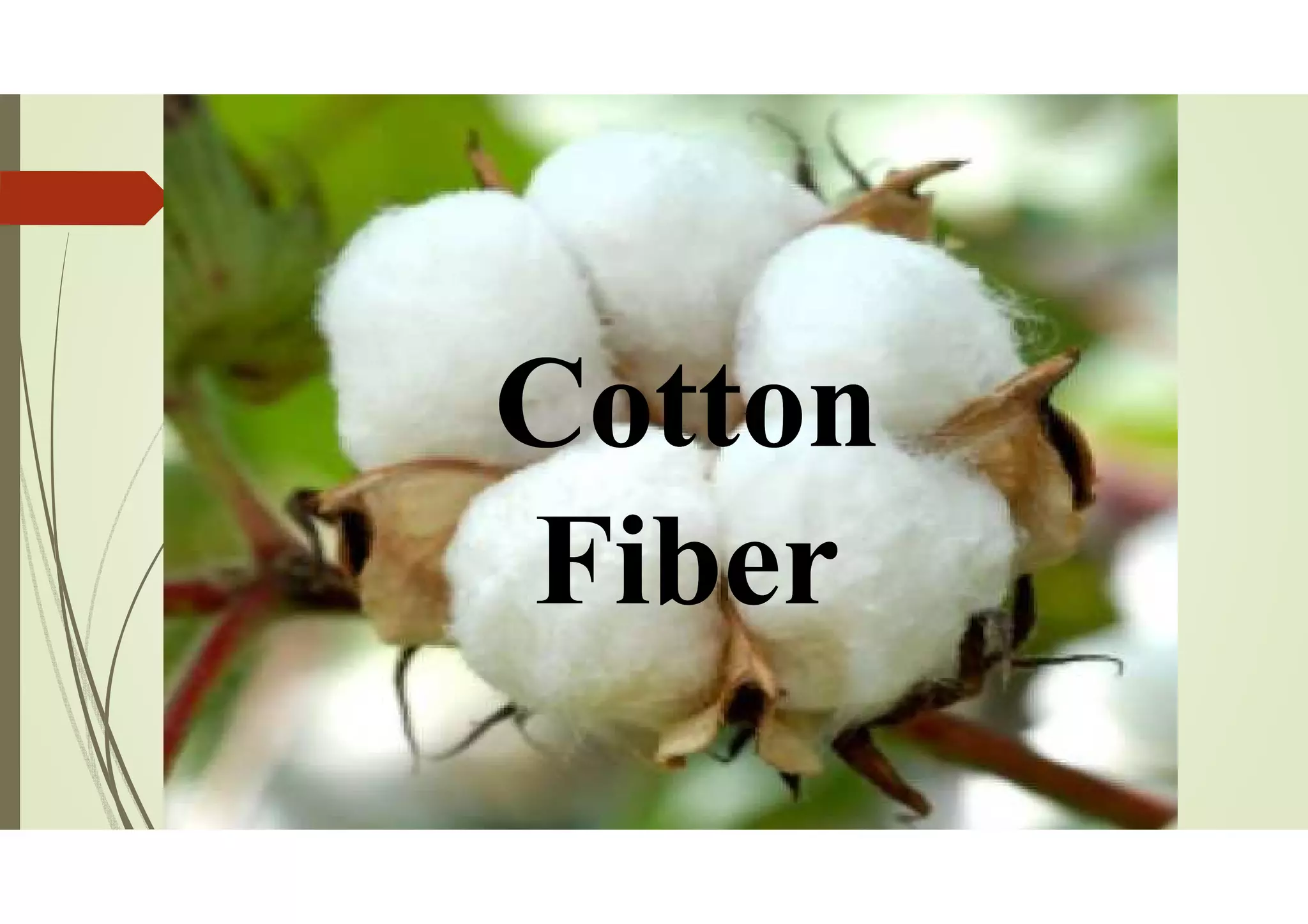 cotton fibre | PDF