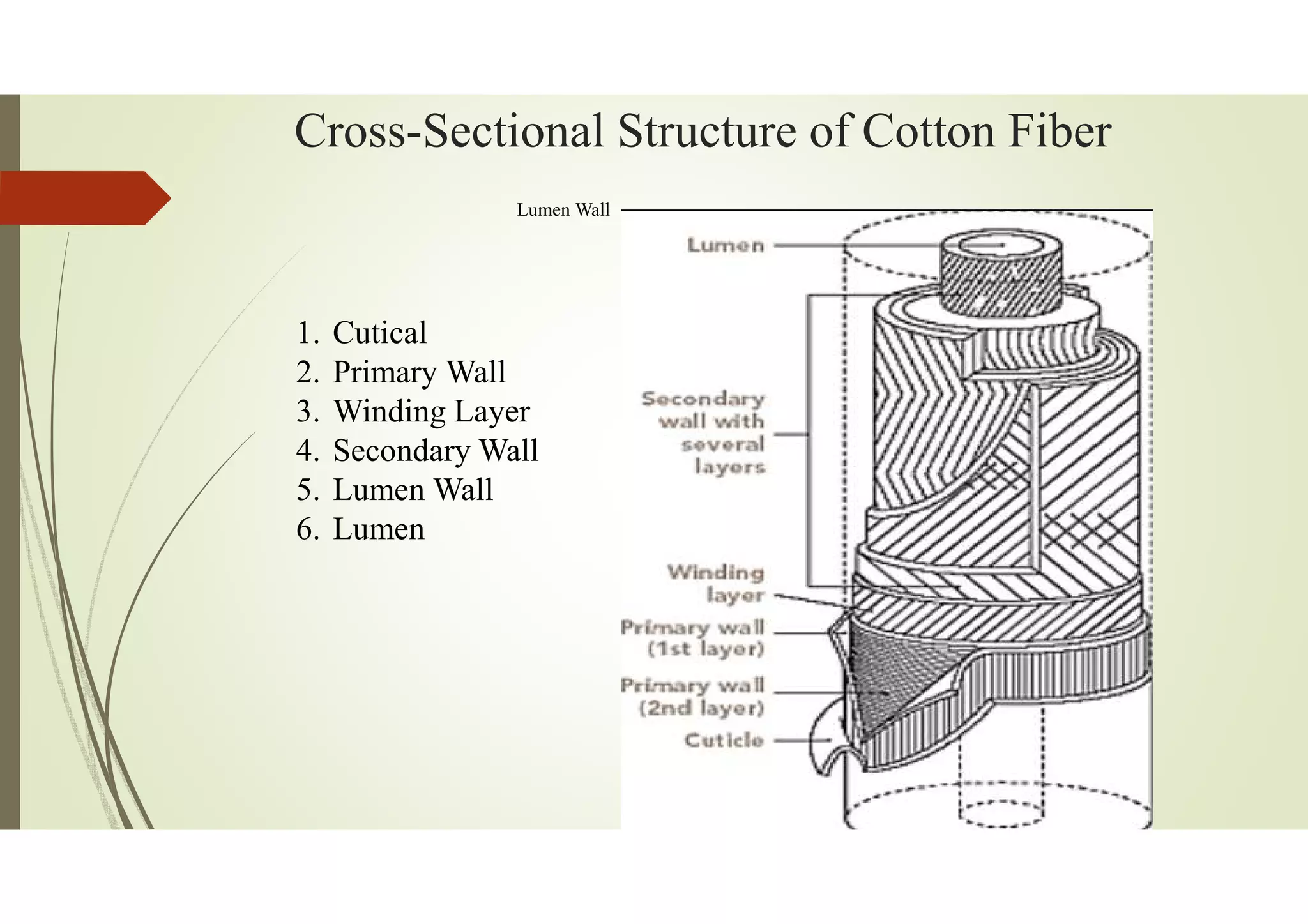 cotton fibre | PDF