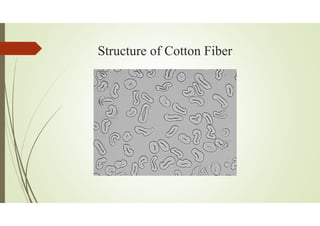 cotton fibre | PDF