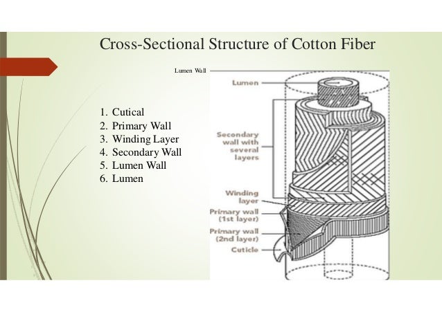 cotton fibre