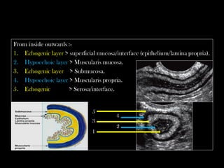 Emergency Ultrasound Course -Lecture 03 -Introduction to bowel ...