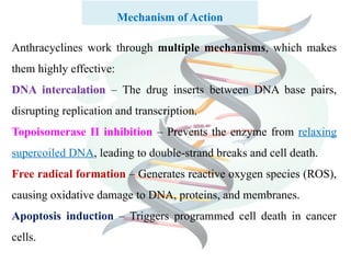 Chemotherapeutic Agents and Antibiotics Targeting Microbial ...