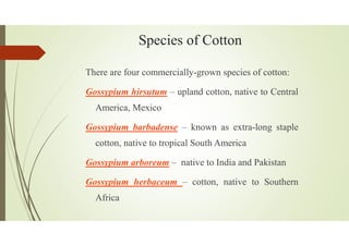 Cotton Fiber | PPT