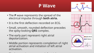Lecture # 03 ECG Waves and Segments.pptx