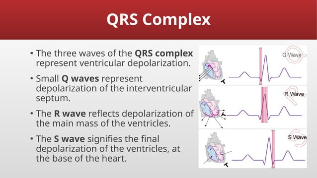 Lecture # 03 ECG Waves and Segments.pptx