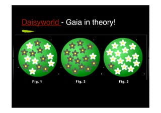 Daisy World Theory | PPT