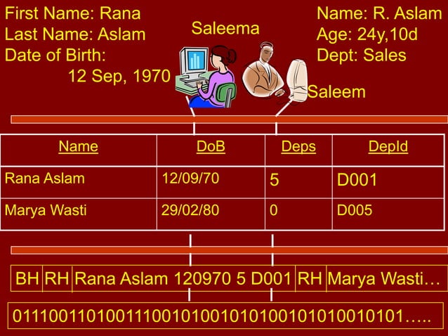 Three schema Architecture in DBMS | PPT