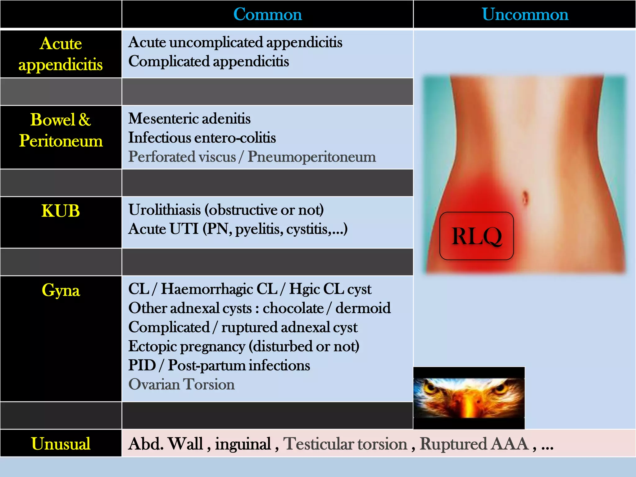 Emergency Ultrasound Course -Lecture 04 -Acute Appendicitis -Part 1 | PDF