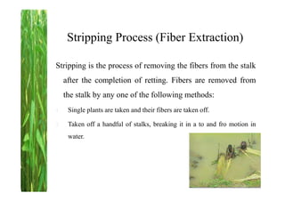 JUTE FIBRE | PDF