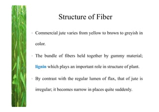 Jute fiber | PDF