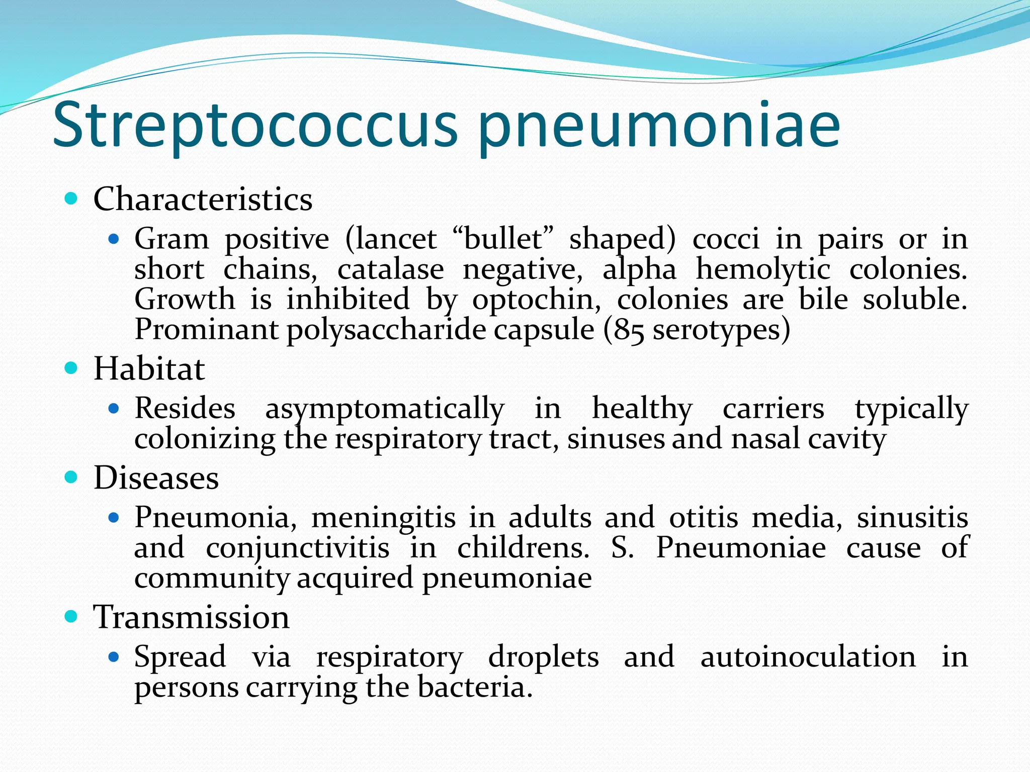 Streptococcus Microbiology Lecture 04 Kmu | PPT