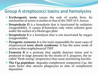 Streptococcus Microbiology Lecture 04 Kmu | PPTX