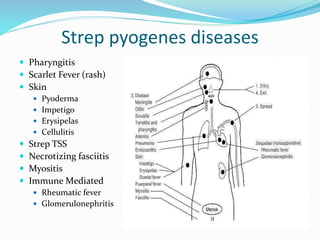 Streptococcus Microbiology Lecture 04 Kmu | PPTX