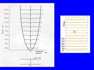Lecture 04_Vibrational spectroscopy (simple harmonic oscillator model) | PDF