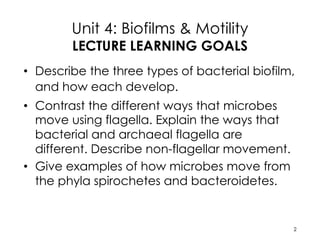 Lecture 04 (2 11-2021) motility | PDF