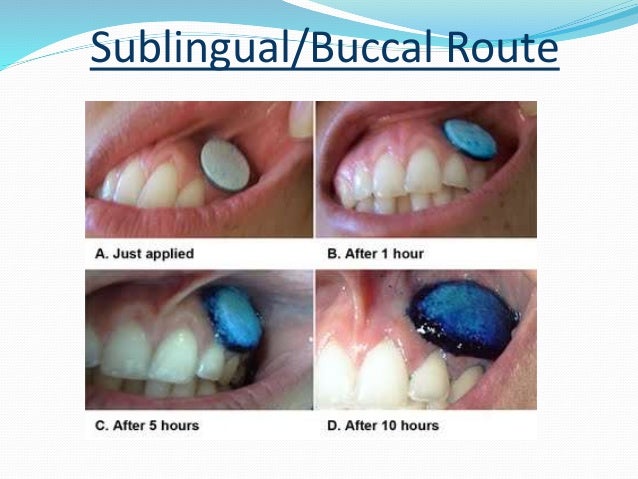Lecture # 04 Routes of Administration