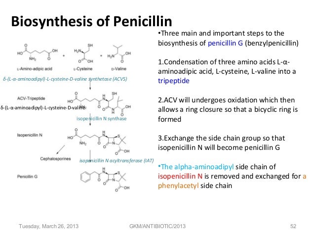 Biosynthesis Of Penicillin: Penicillin Biosynthesis Process – WQWZK