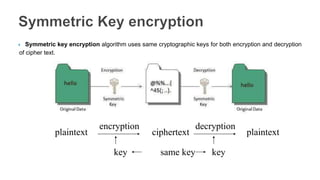 Computer Introduction-Lecture05 | PPT