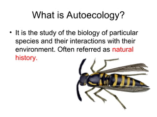 slide biological control- section Autoecology | PPT