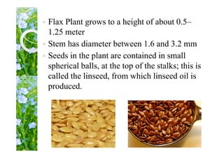 FLUX FIBER | PDF