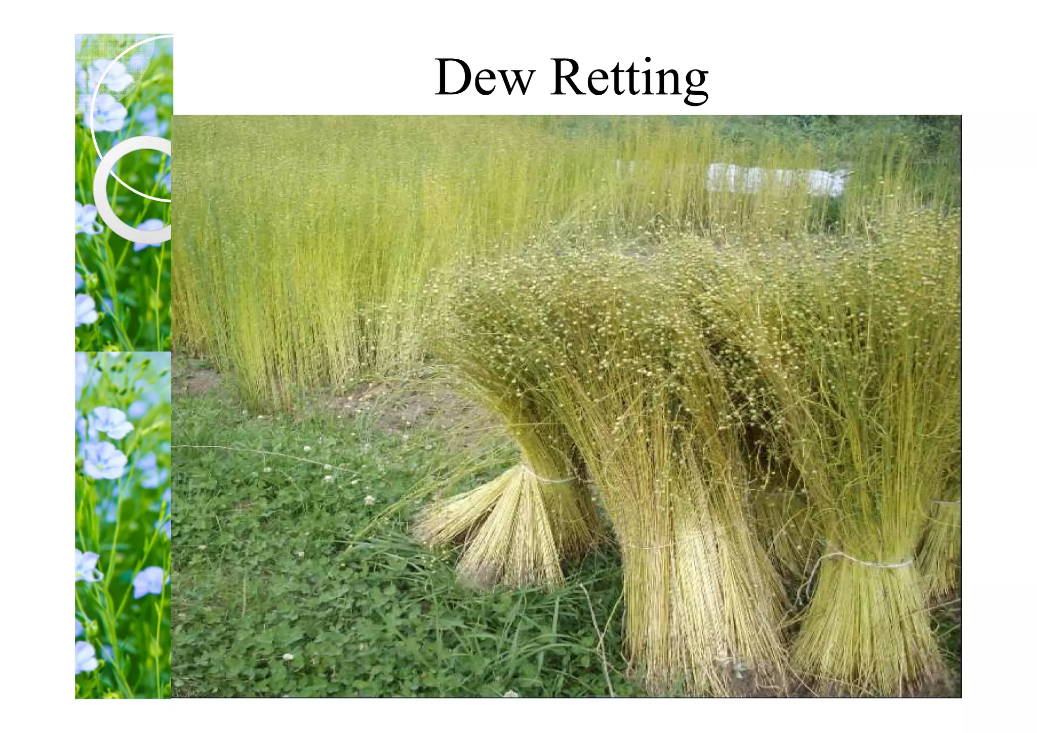 Flax fiber | PDF