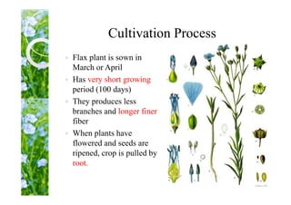 Flax Fibre Processing