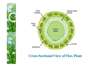 Flax fiber | PPT