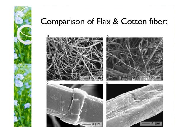 Flax fiber