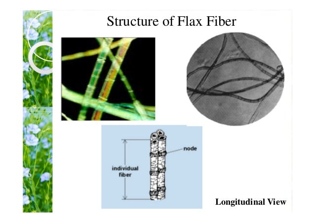 Flax fiber