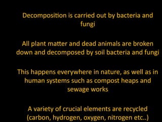 Introduction Organic matter decomposition | PPTX