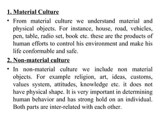 Material Culture Examples Sociology