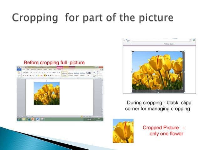 Lecture 06 Insert Tab Word 2007 Pptx Desktop Publishing Computer Software And Applications