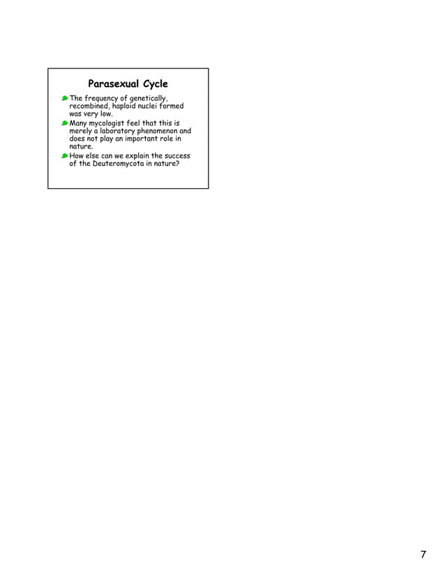 Lecture07 Pdf