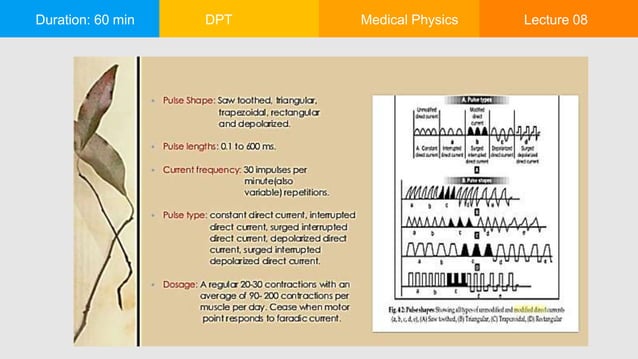 Low, Medium and High Frequency Current | PPTX | Physical Therapy | Wellness