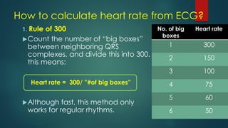 Electrocardiography Basics | PPT