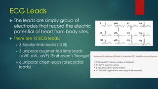 Electrocardiography Basics | PPT
