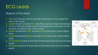 Electrocardiography Basics | PPT