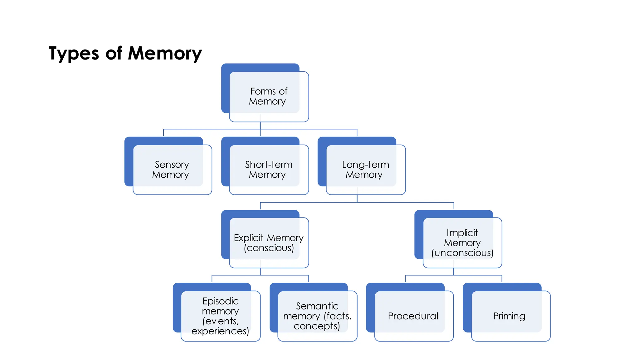 Biological and Cognitive Psychology Lecture Memory.pdf