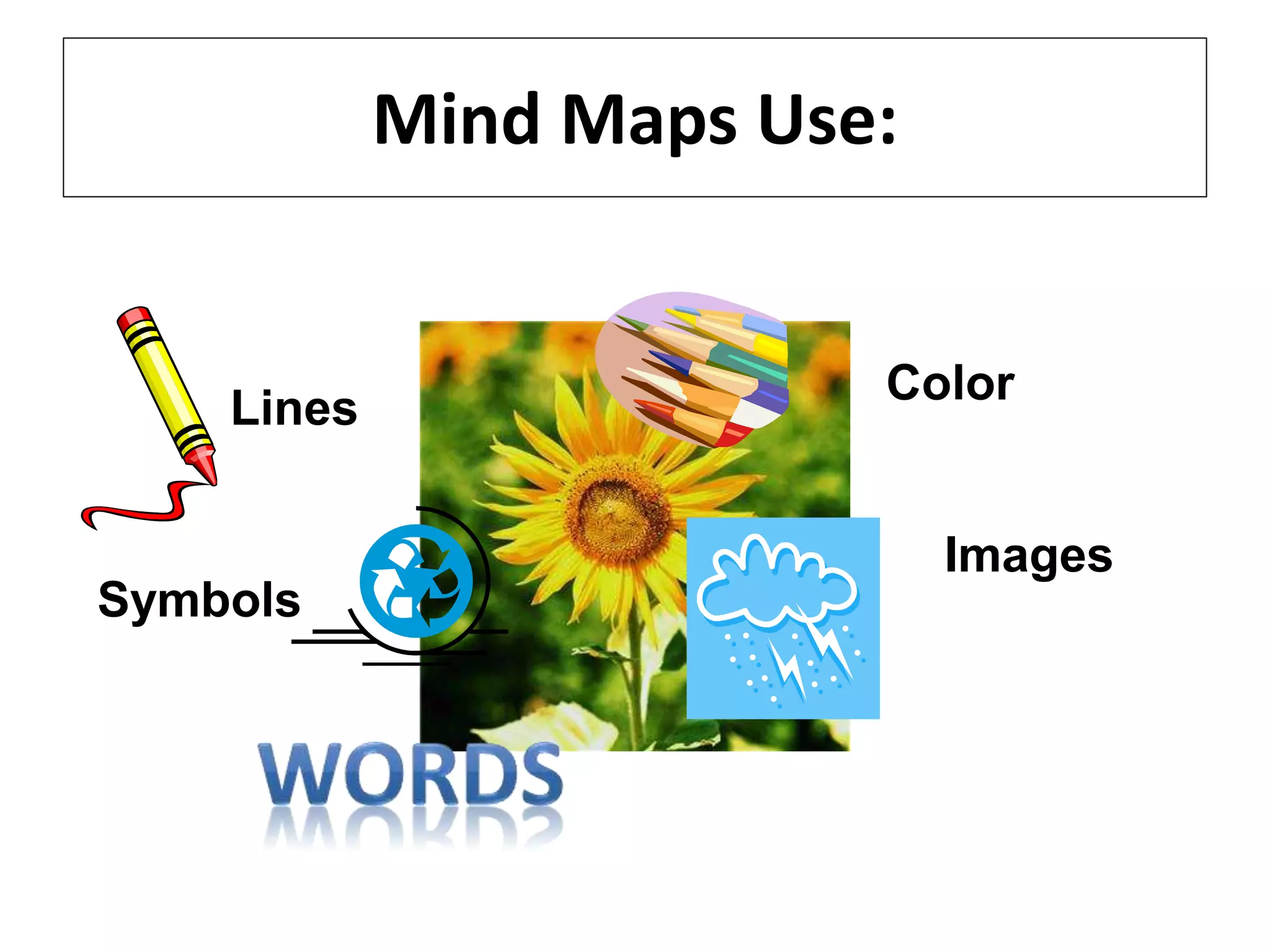 Project management_ Lecture #0 Mind mapping | PPTX | Biological ...
